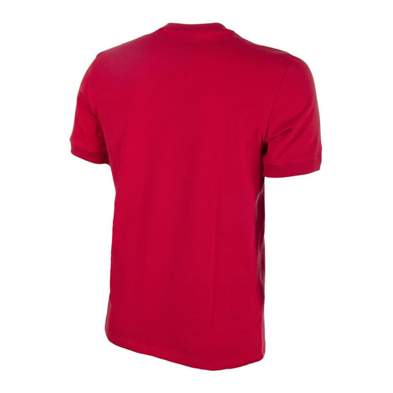 Denmark 1960 Retro Football Shirt | Vintage Football Club